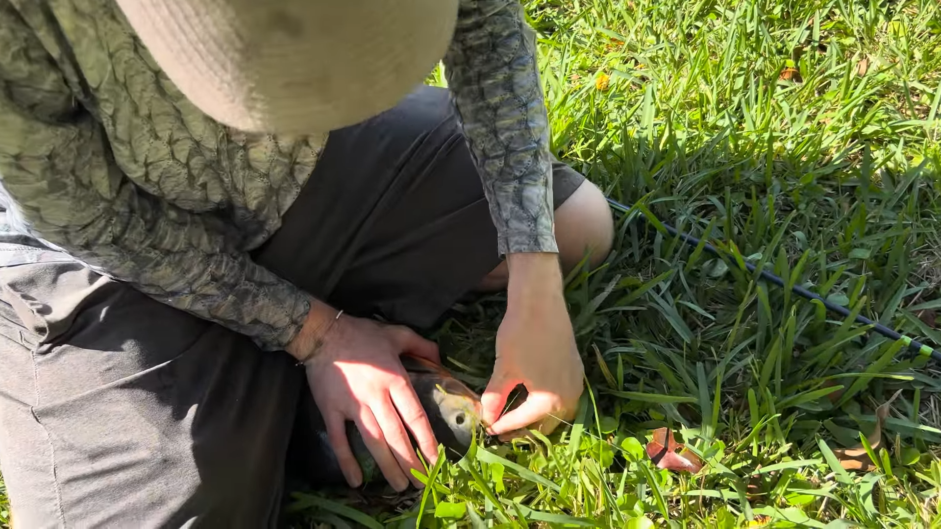 Net trap catches exotic bait fish to feed my pond pets!