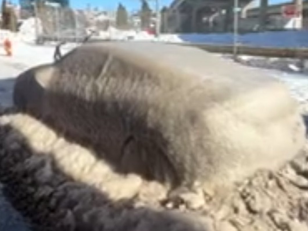 Due to a burst water pipe, car turns into an ice statue