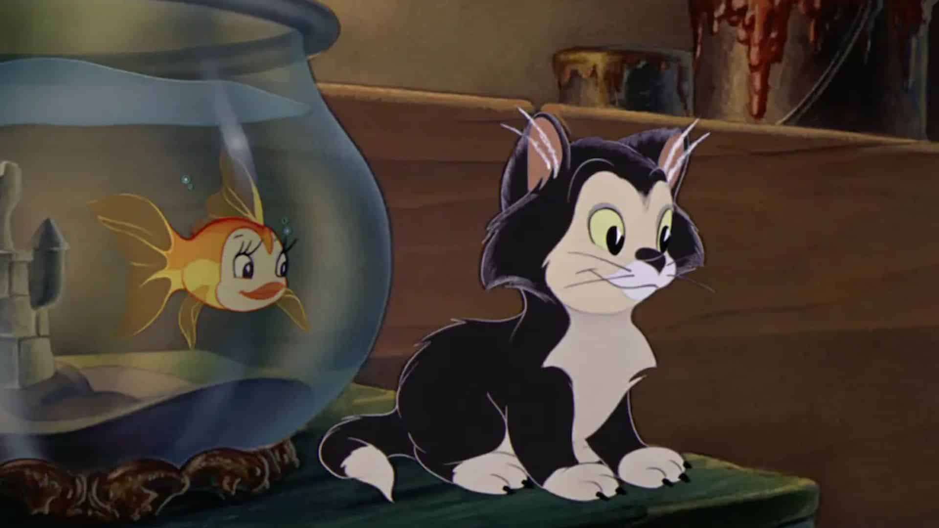 Cats that became stars in movies and TV