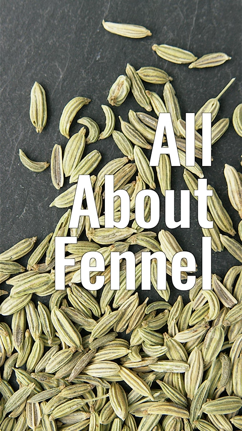 This is why fennel confuses so many people