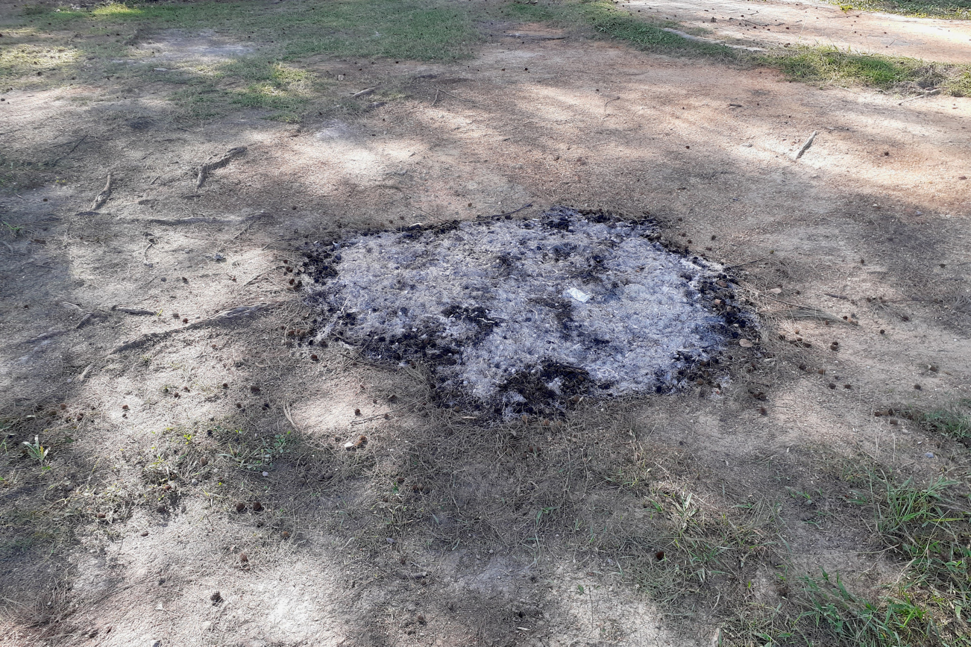 What are zombie fires—and why are they extremely dangerous?