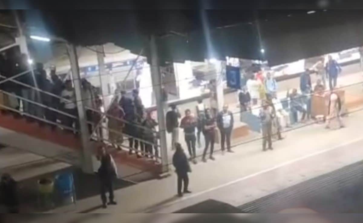 Bengal man jumps from bridge, dies by electrocution after falling on train
