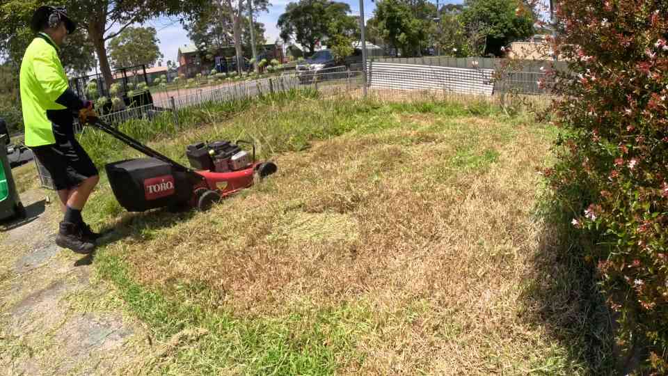 Stunning yard rescue as tall grass is finally cut back