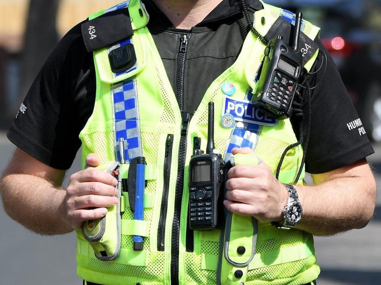 Humberside Police holds weapons amnesty for illegal blank-firing guns
