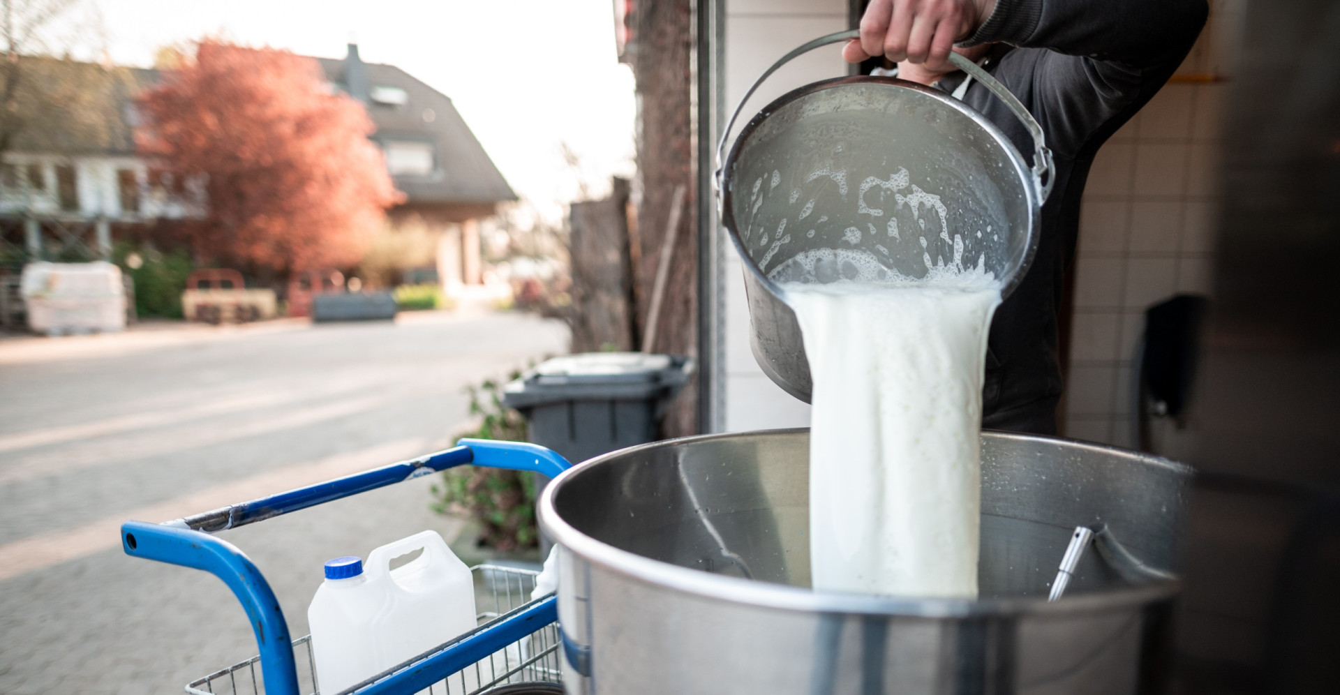 Should we be drinking raw milk? The facts you need to know