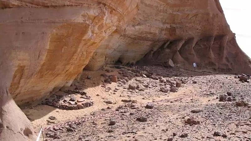 Lost in the sand: 7,000-year-old mummies found in Sahara belong to ...