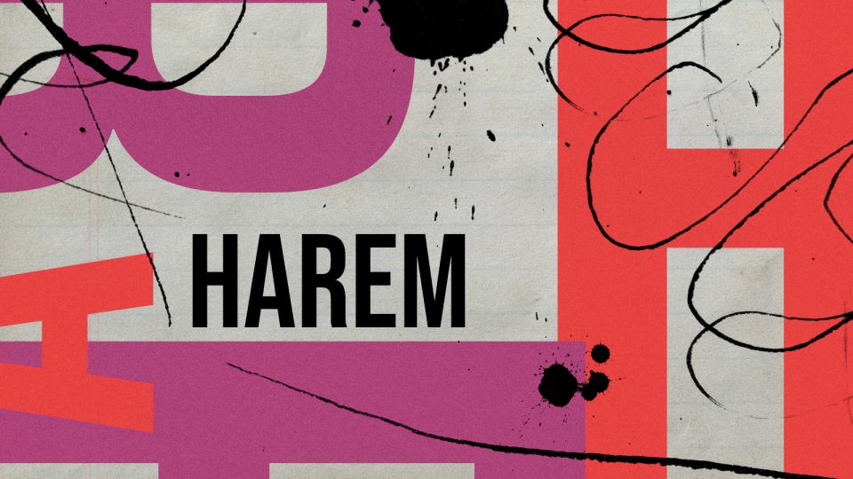 Word of the week: Jeffrey Epstein was obsessed with building a ‘harem’