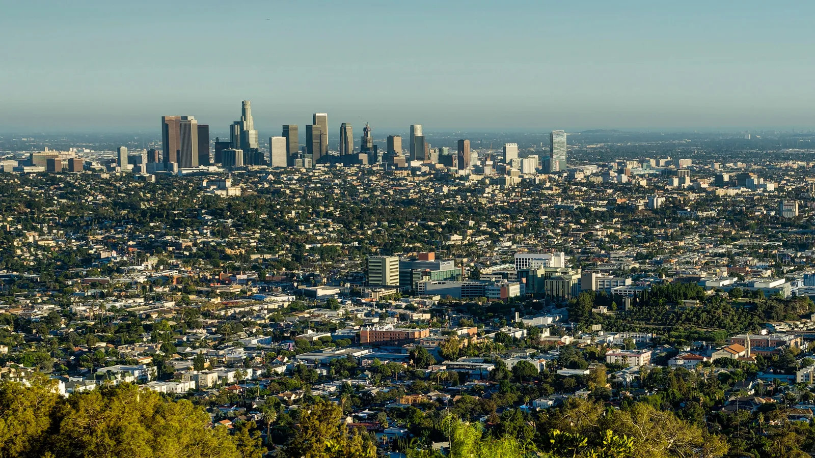Los Angeles residents feel more strained as a new UCLA survey hits an ...