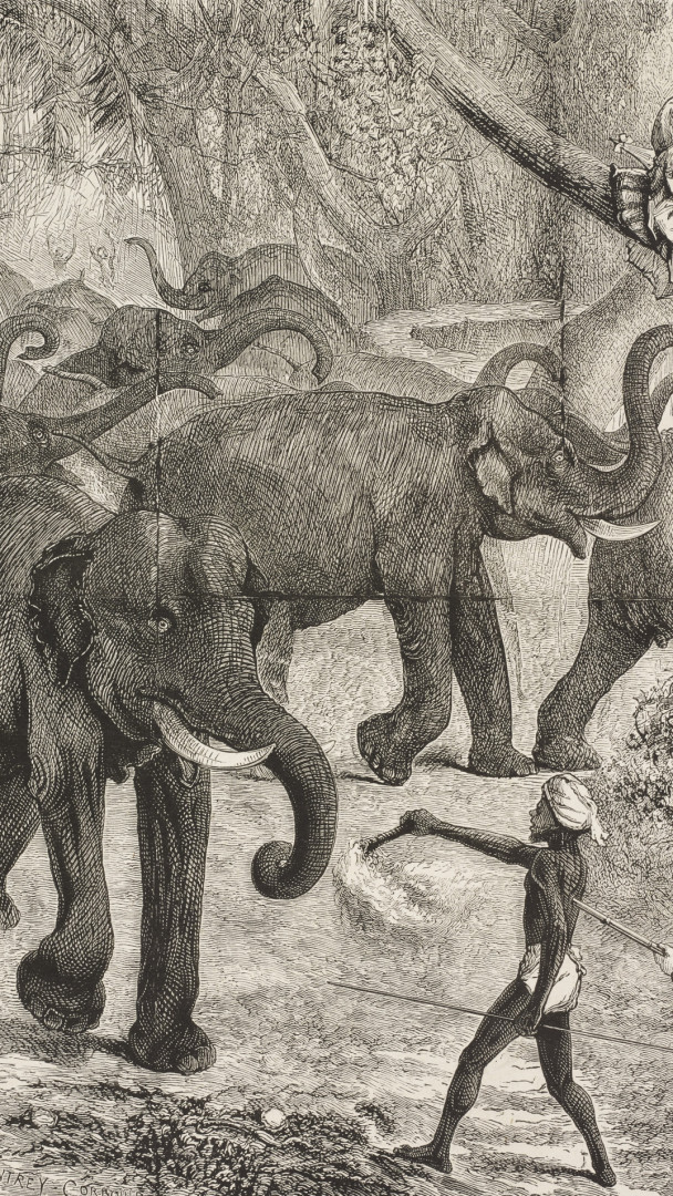 Why some people love animals, according to science