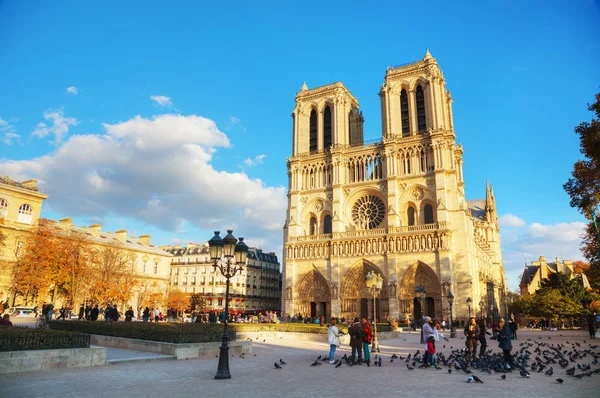 Historic cathedrals with the best city views