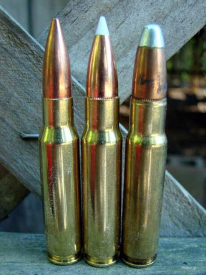 10 reliable rifle calibers proven by seasoned hunters