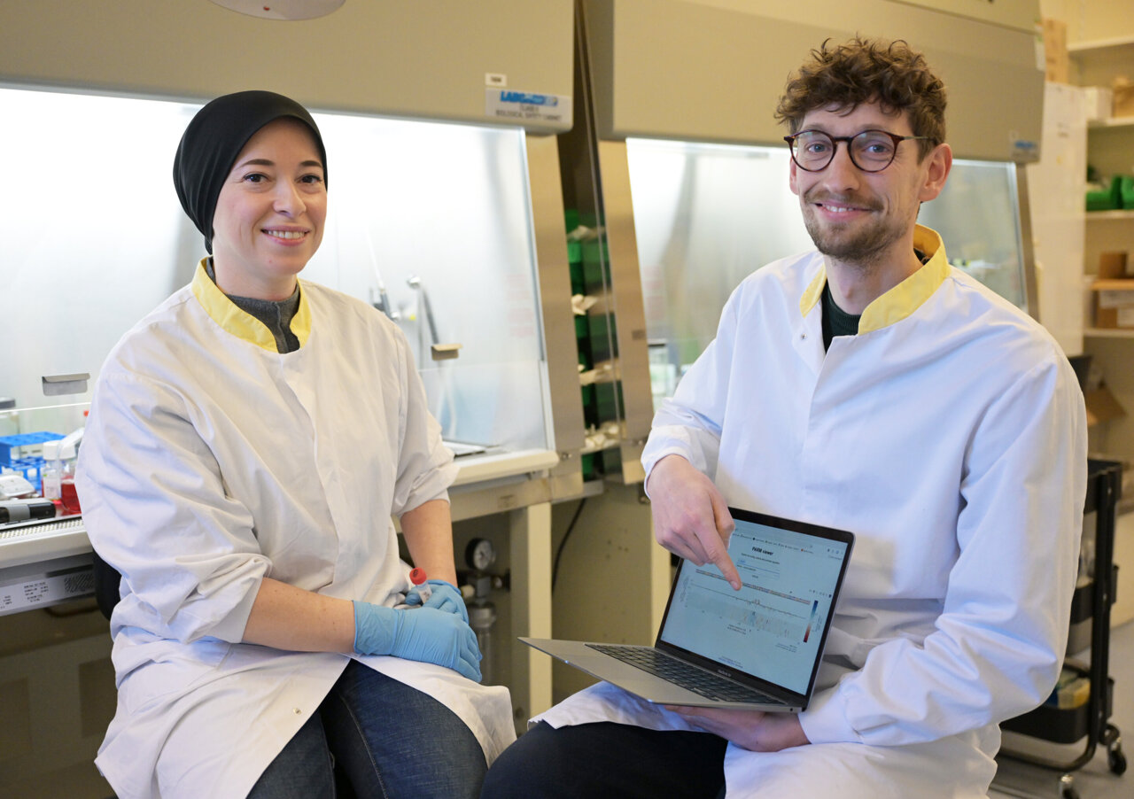 Cracking the rules of gene regulation with experimental elegance and AI