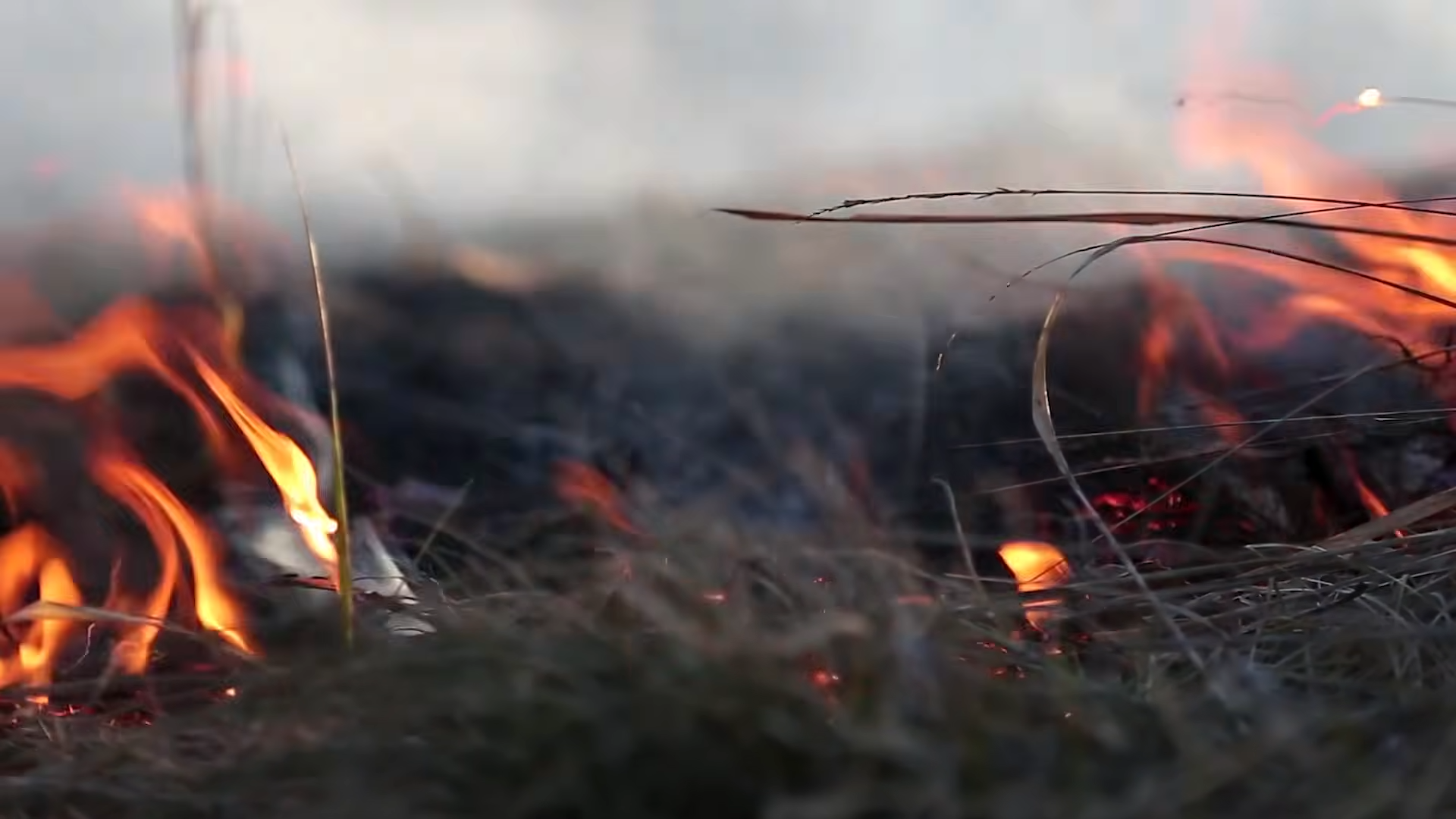 Sentenced to be boiled alive with flaming coals in public - brutal ...