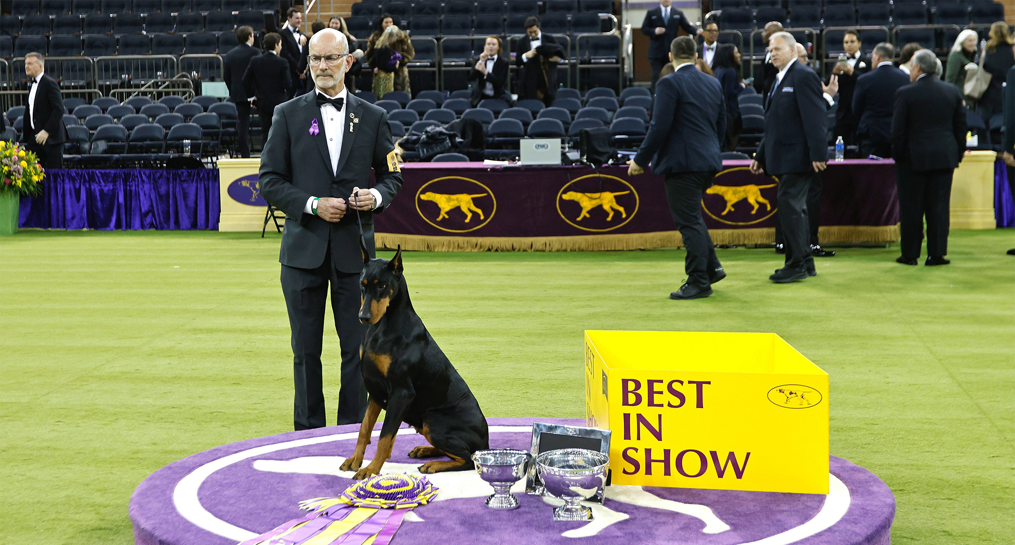 And the winner of the Westminster Dog Show is…