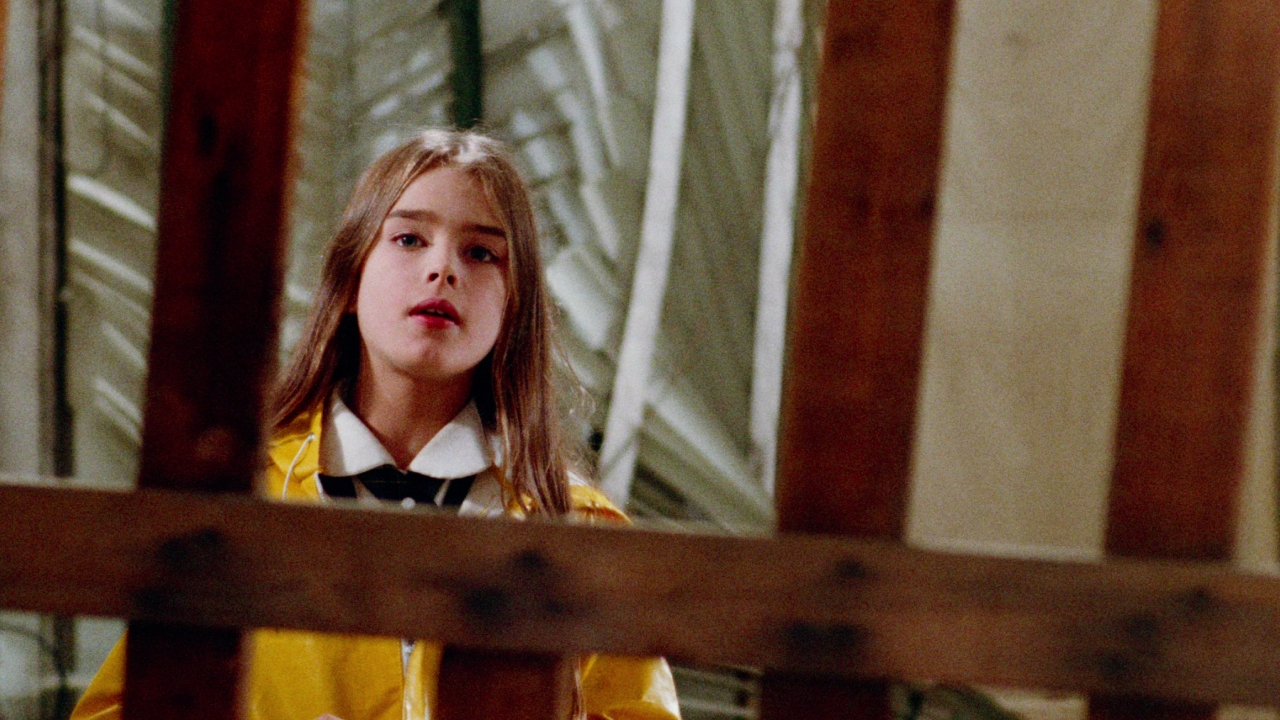 10 horror movies from the 70s that need to be remade in modern era