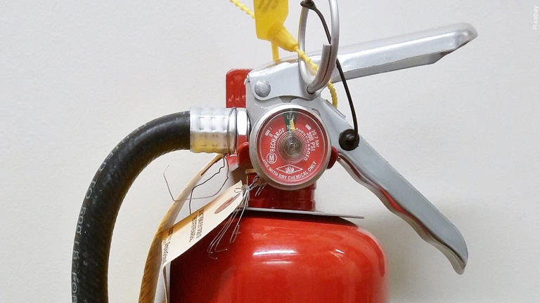 Suspects use fire extinguisher on victim during New Haven home invasion ...