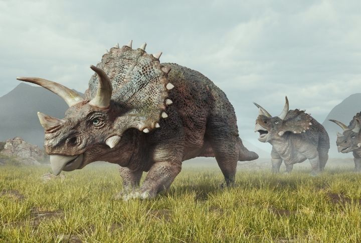 15 cool facts about dinosaurs that will transport you back in time