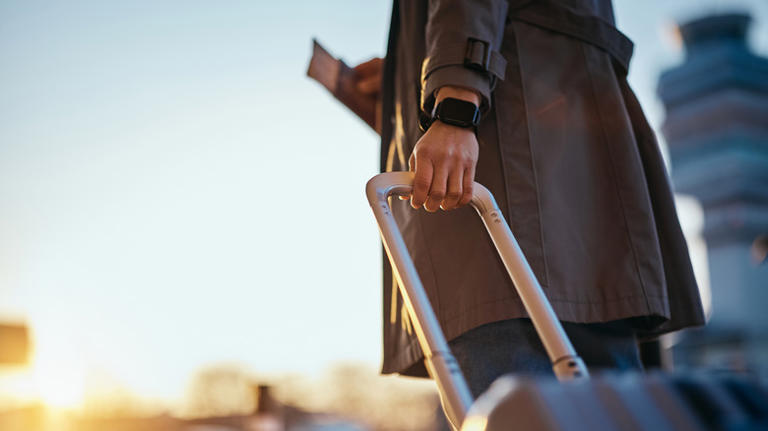 The chic, viral suitcase brand that Reddit users are warning people to ...