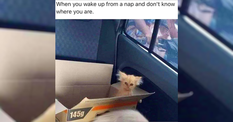 30 memes that build from the ground up