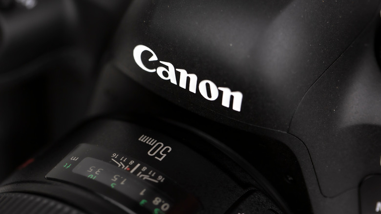 14 best uses for old cameras and lenses
