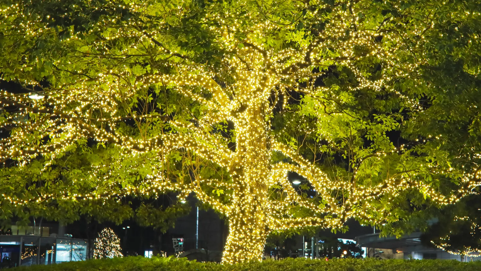 Want to keep intruders out? Light up every corner the smart way