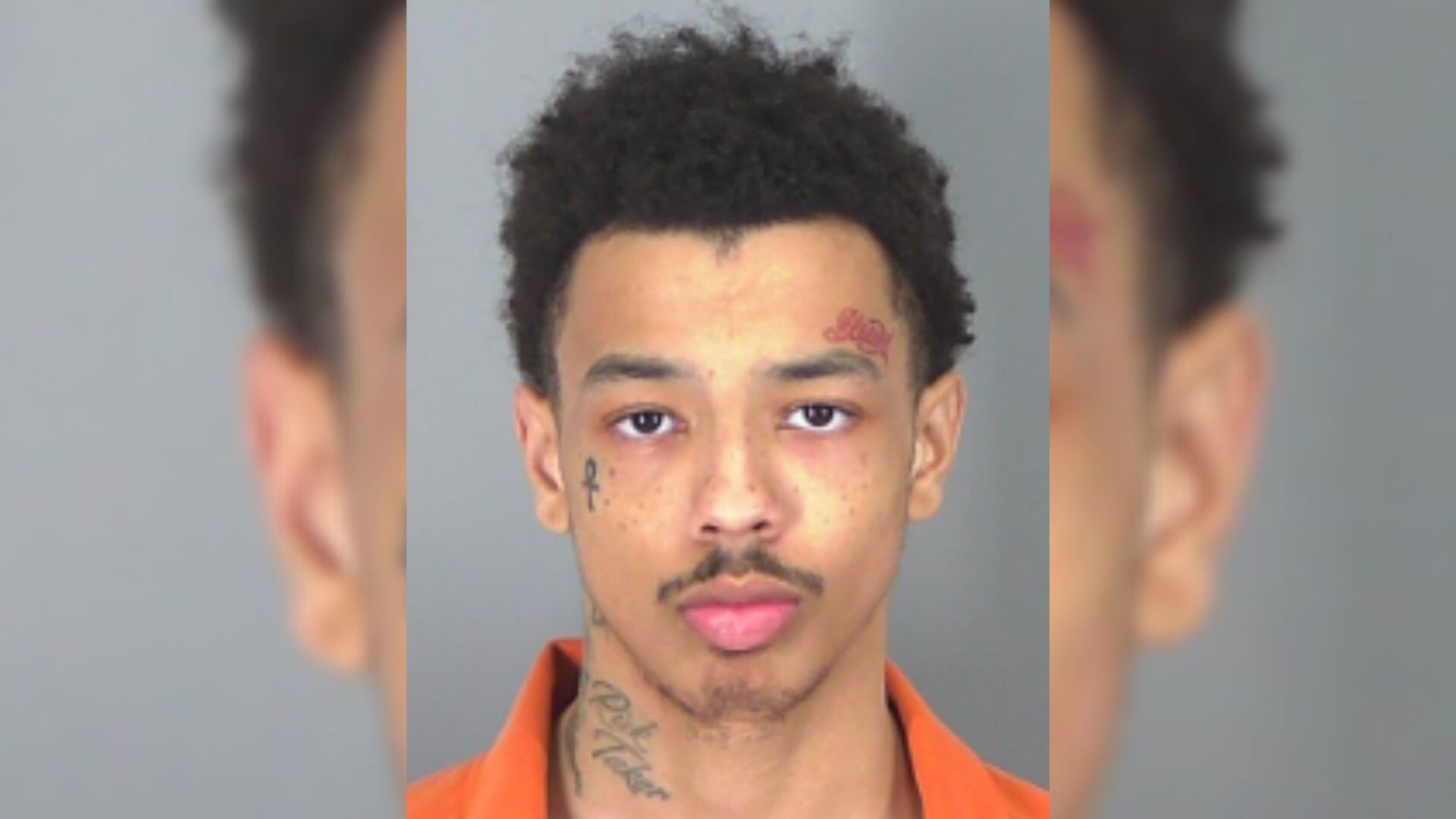No bond for 19-year-old accused of murdering woman in Spartanburg Co. home
