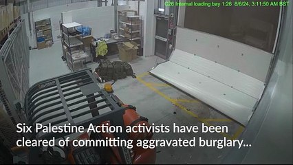 Palestine Action activists in Elbit site break-in cleared of aggravated ...