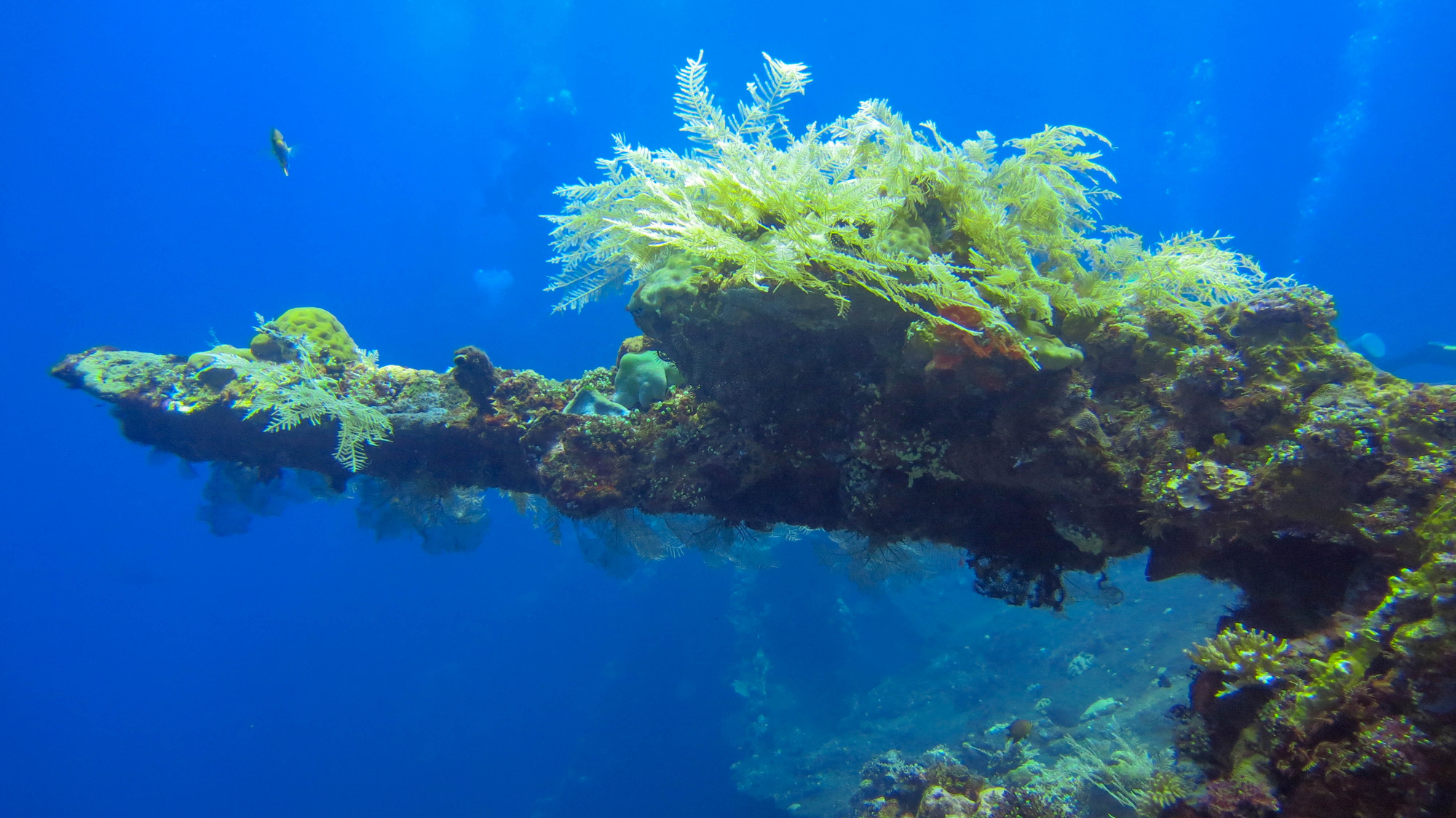 Sunken ships you can dive to see