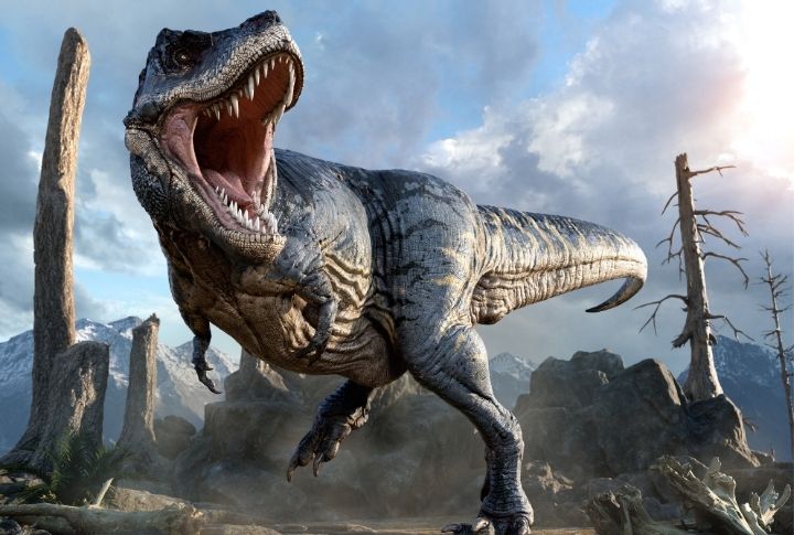 15 cool facts about dinosaurs that will transport you back in time