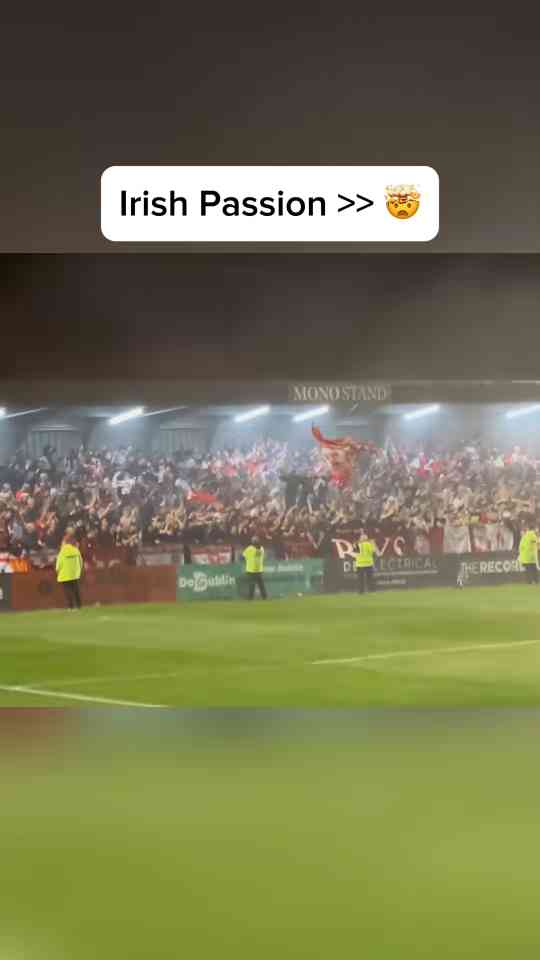 Are Shelbourne ultras the best in Ireland?