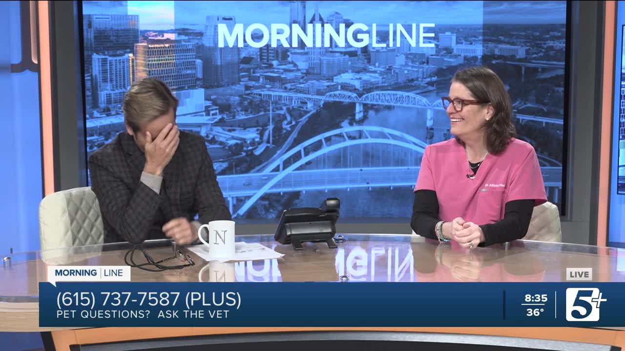 MorningLine: Winter Pet Concerns pt3