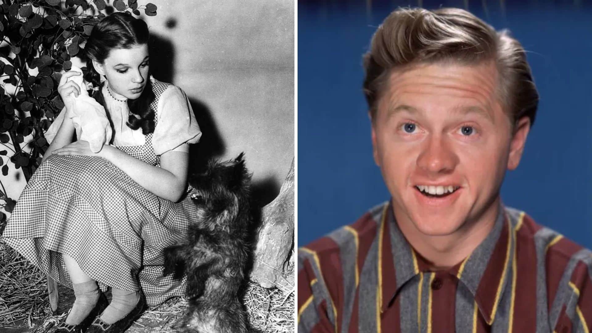 20 golden faces behind MGM’s Hollywood legacy