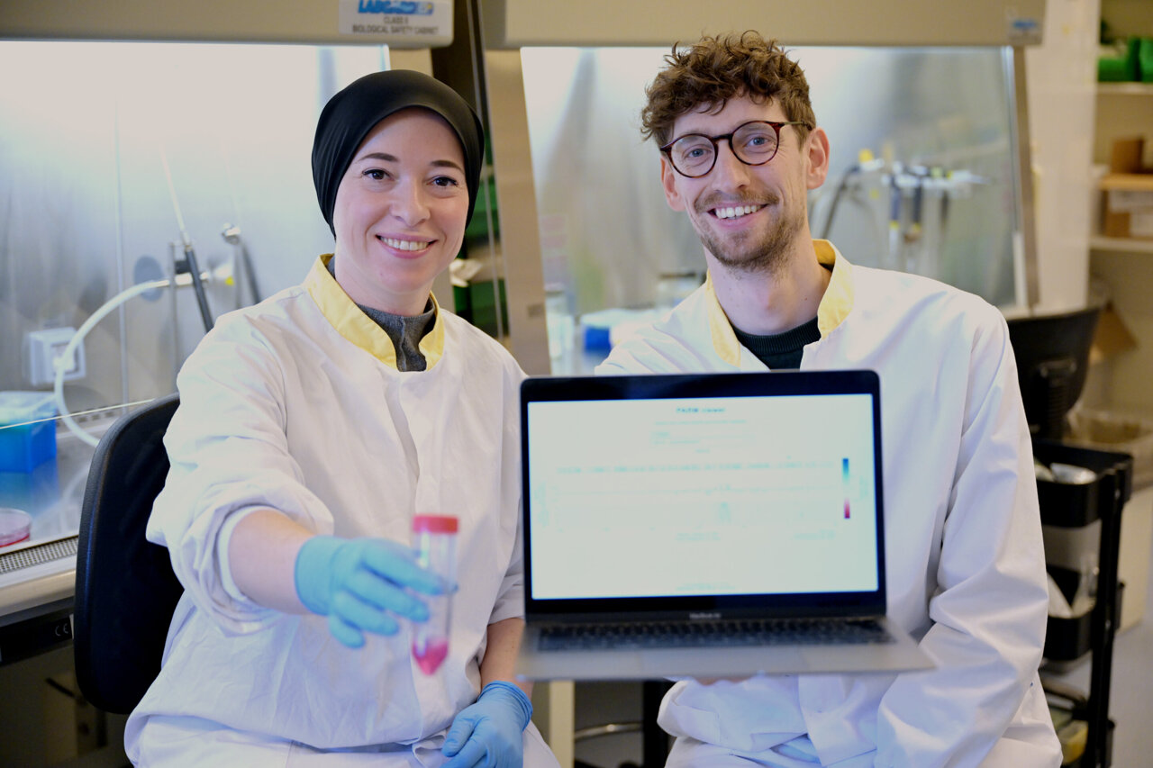 Cracking the rules of gene regulation with experimental elegance and AI