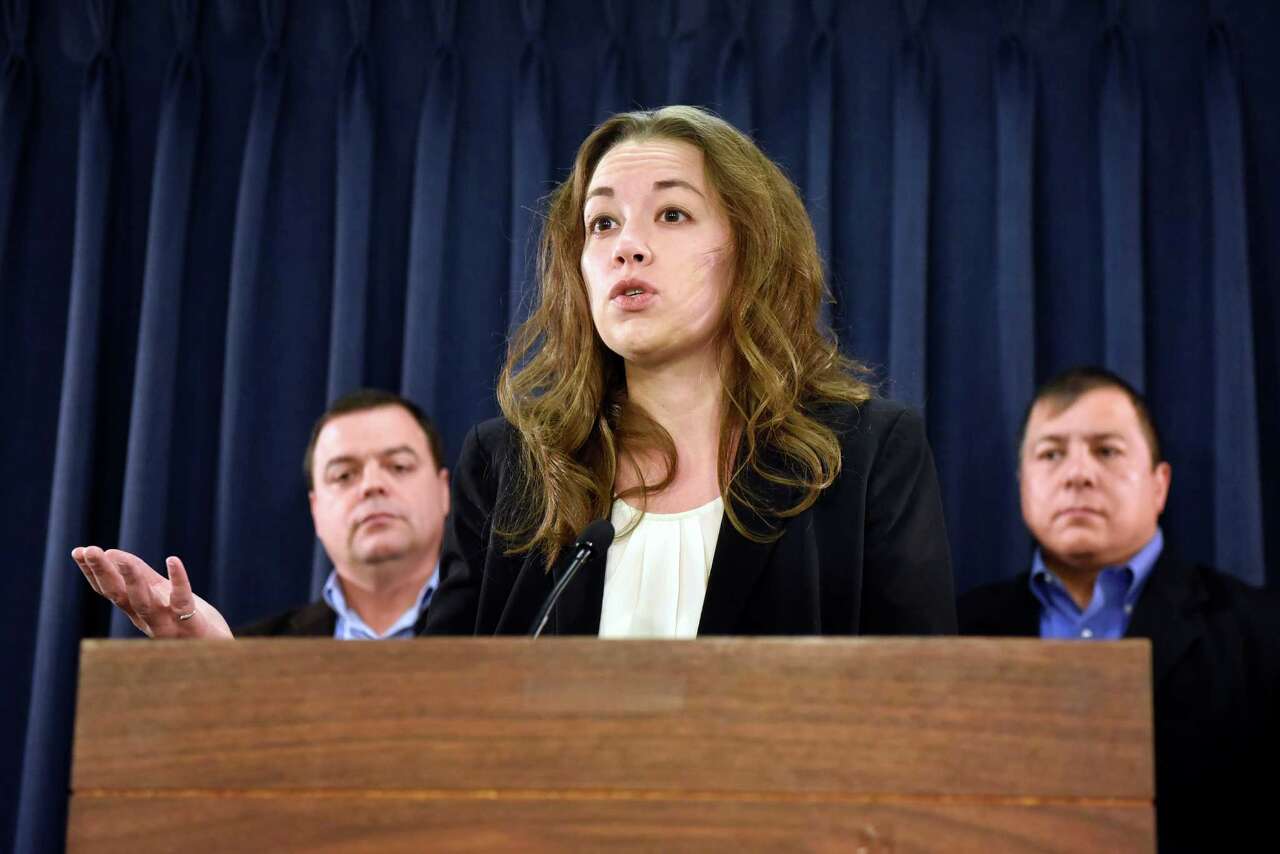 Immigration attorney, Albany Law professor seeks to unseat Tedisco