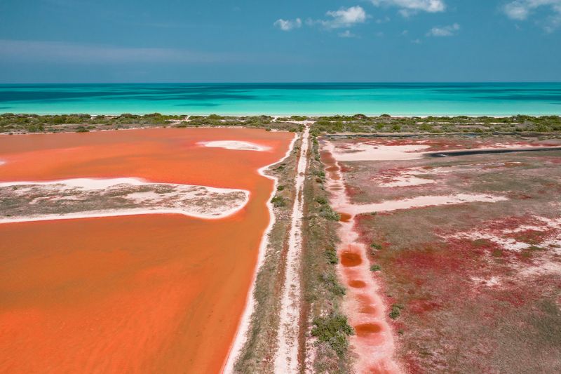 Why Florida life holds secrets tourists may never understand