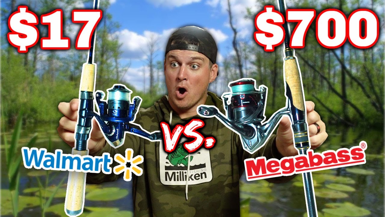 Cheapest versus most expensive rod challenge delivers results