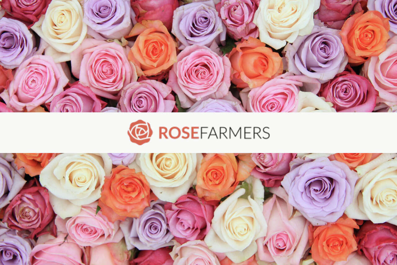Here's how to get 2 dozen long-stem roses for only $25