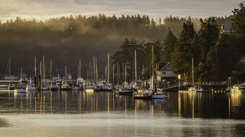 The 14 most talked-about coastal towns in the US