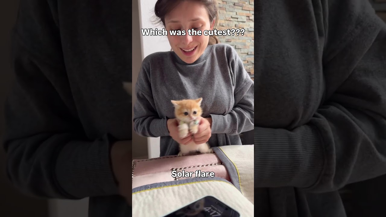 Tiny Cat Wins Cutest