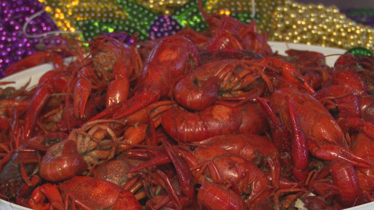 Recent freezing temperatures impact crawfish supply and price tag