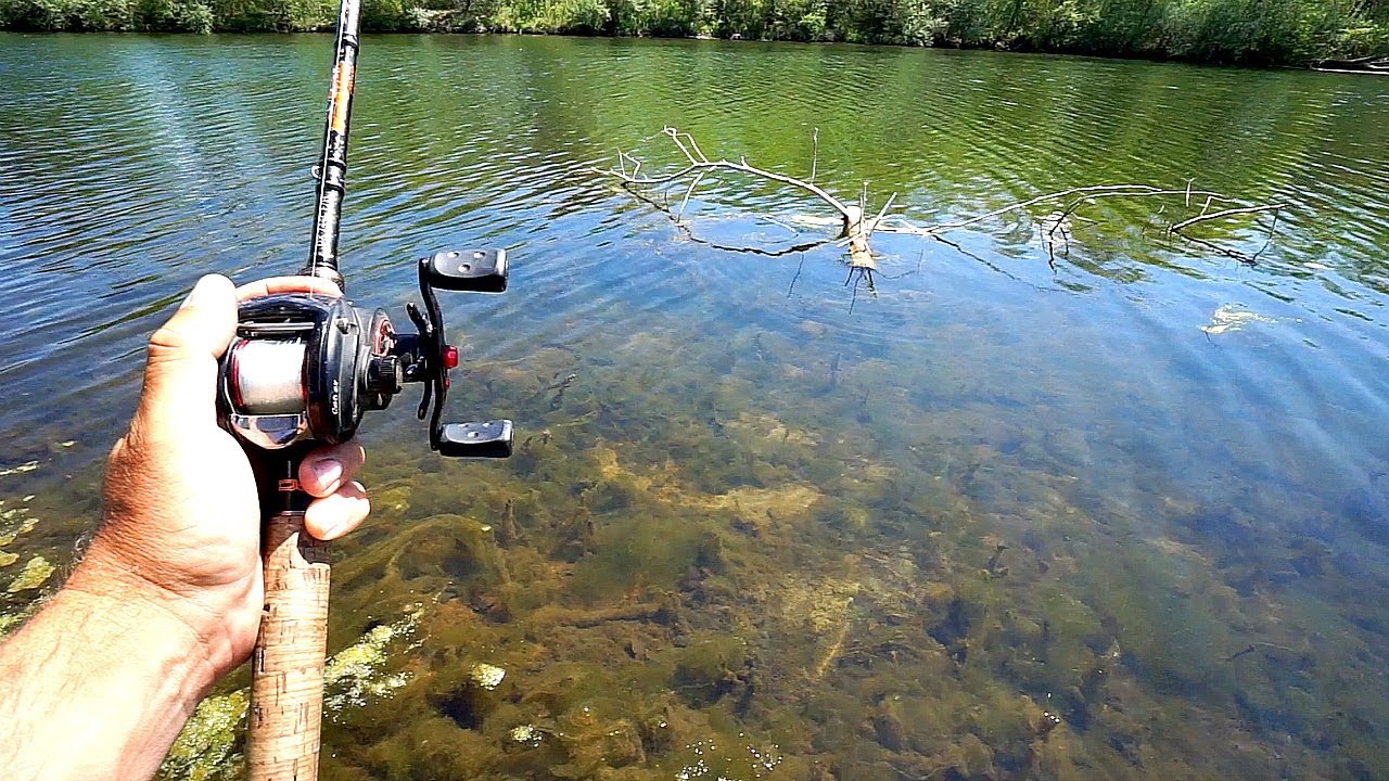 Ultra-clear pond fishing leads to spawning bass frenzy