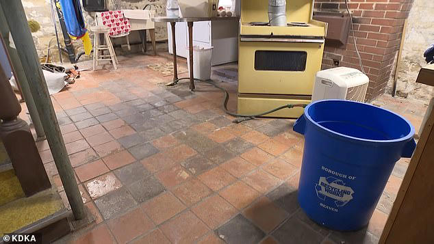 Homebuyers sue over undisclosed offensive symbols in flooring