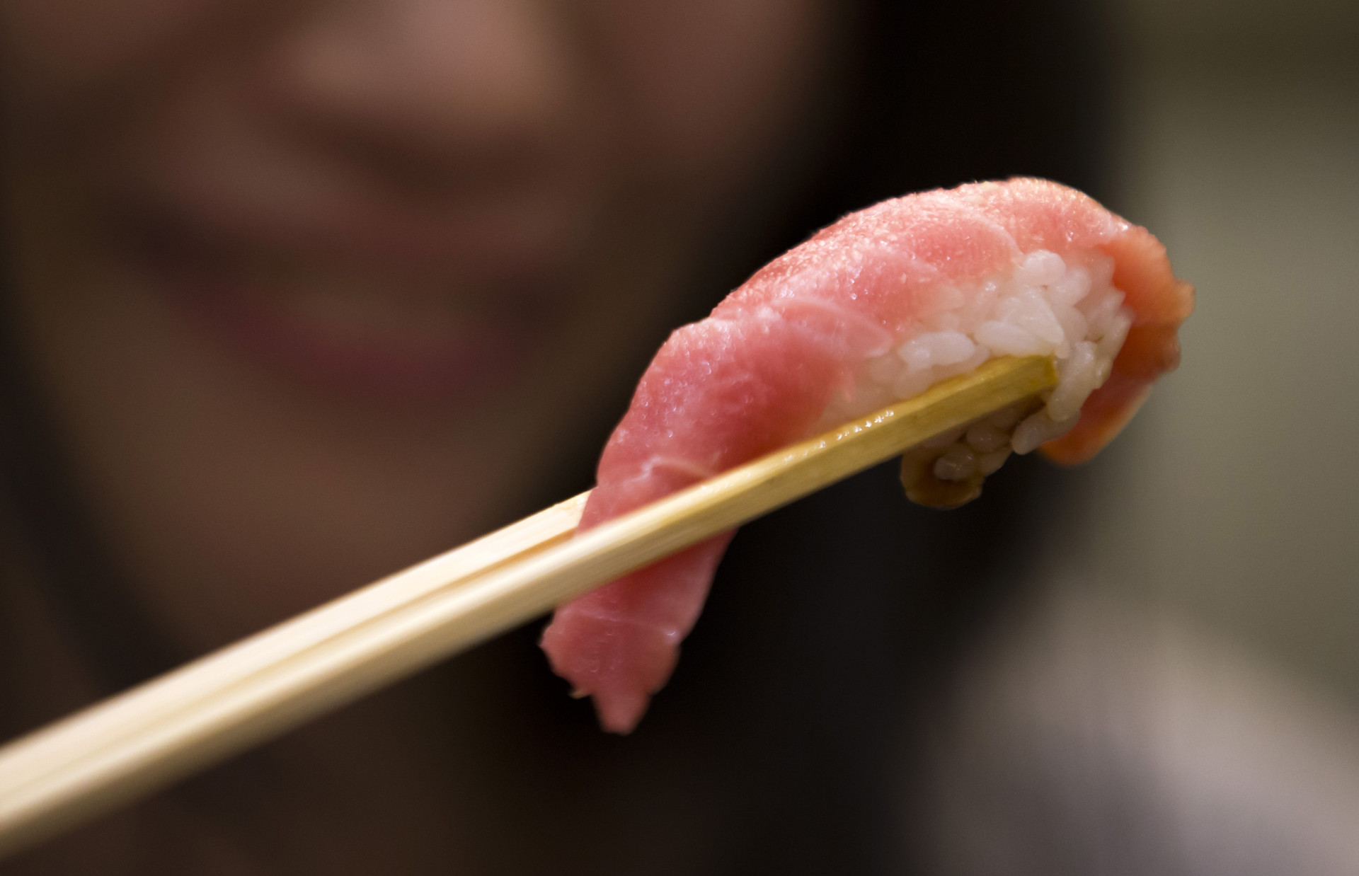 Totally tuna: interesting facts about the mighty fish