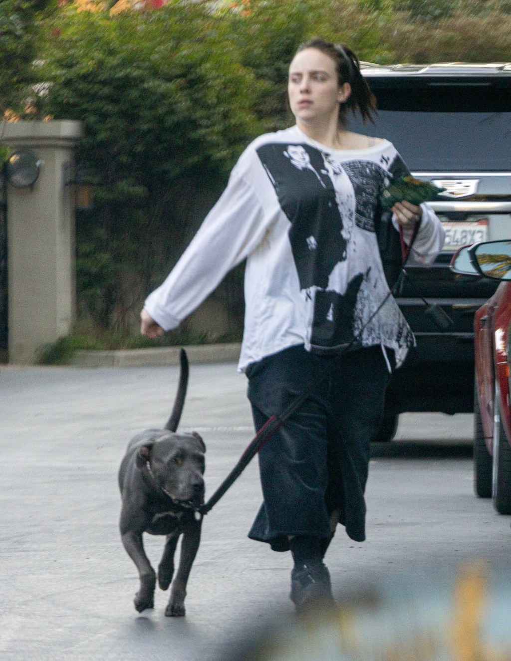 Billie Eilish seen in public for first time since 'stolen land' Grammy ...