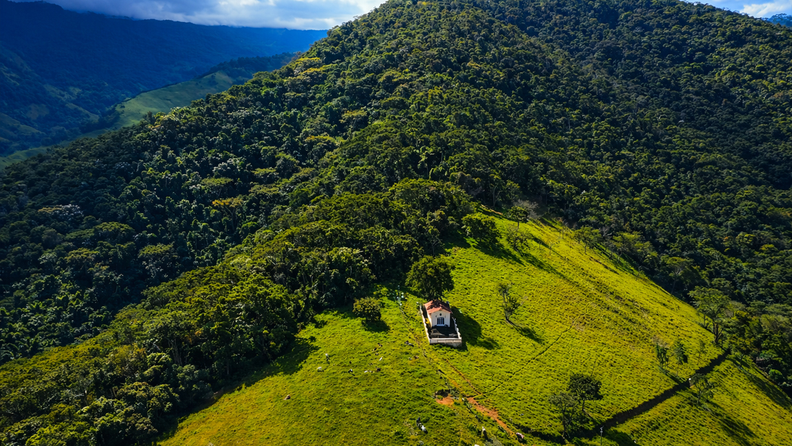 A house alone between forest and field