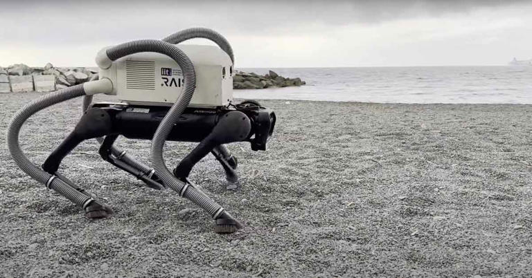 Watch: This 'robot dog' has vacuums for paws — and cleans litter from ...