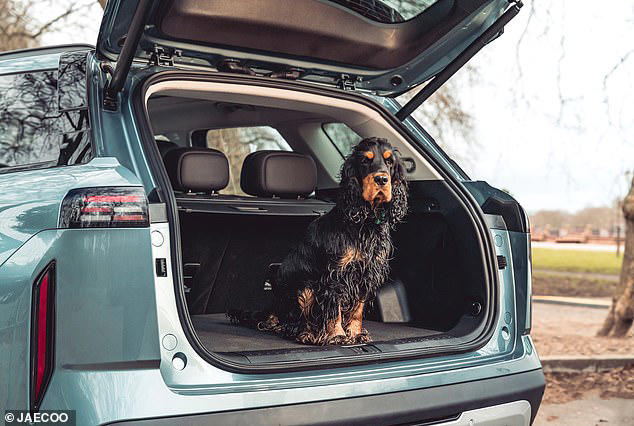 The 'Temu Range Rover' that's a sales sensation: Britons buy more ...