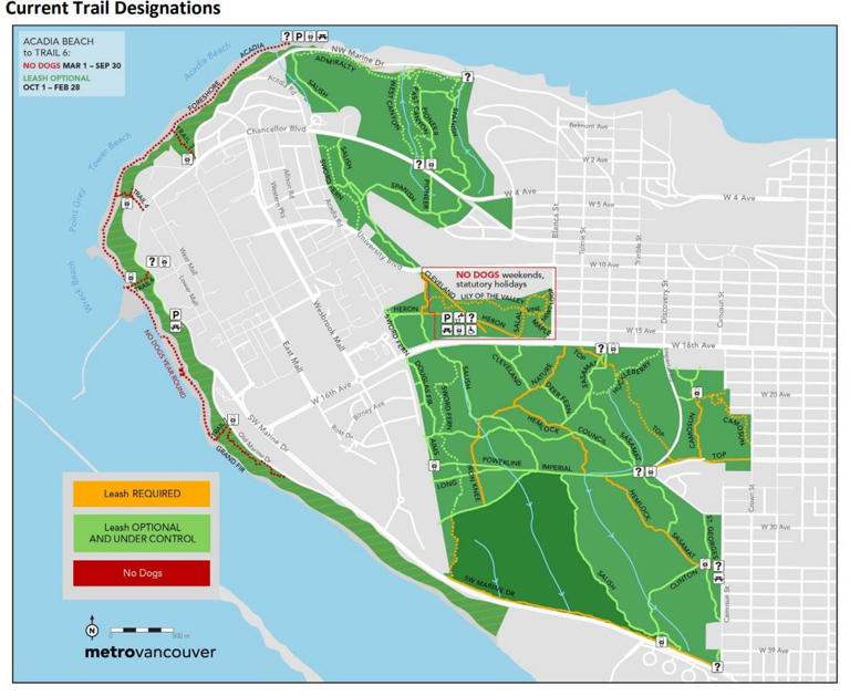 Metro Vancouver pauses plan to change leash-optional areas at Pacific ...