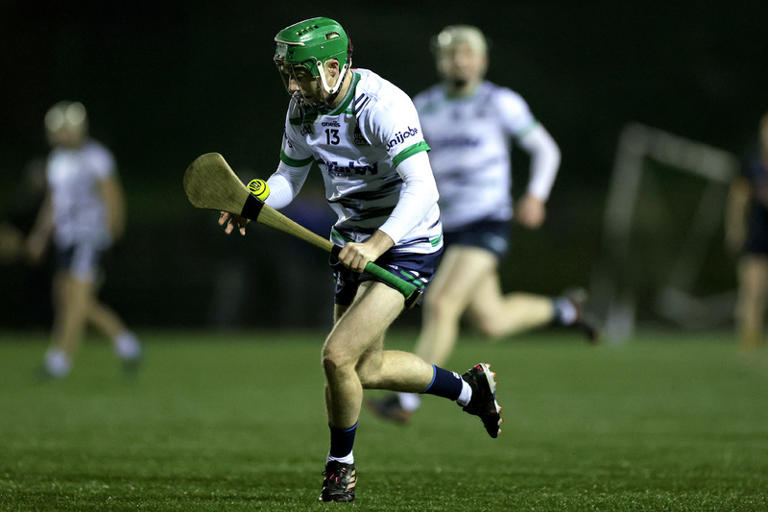 Offaly's Screeney stars as champions UL set up all-Limerick Fitzgibbon ...