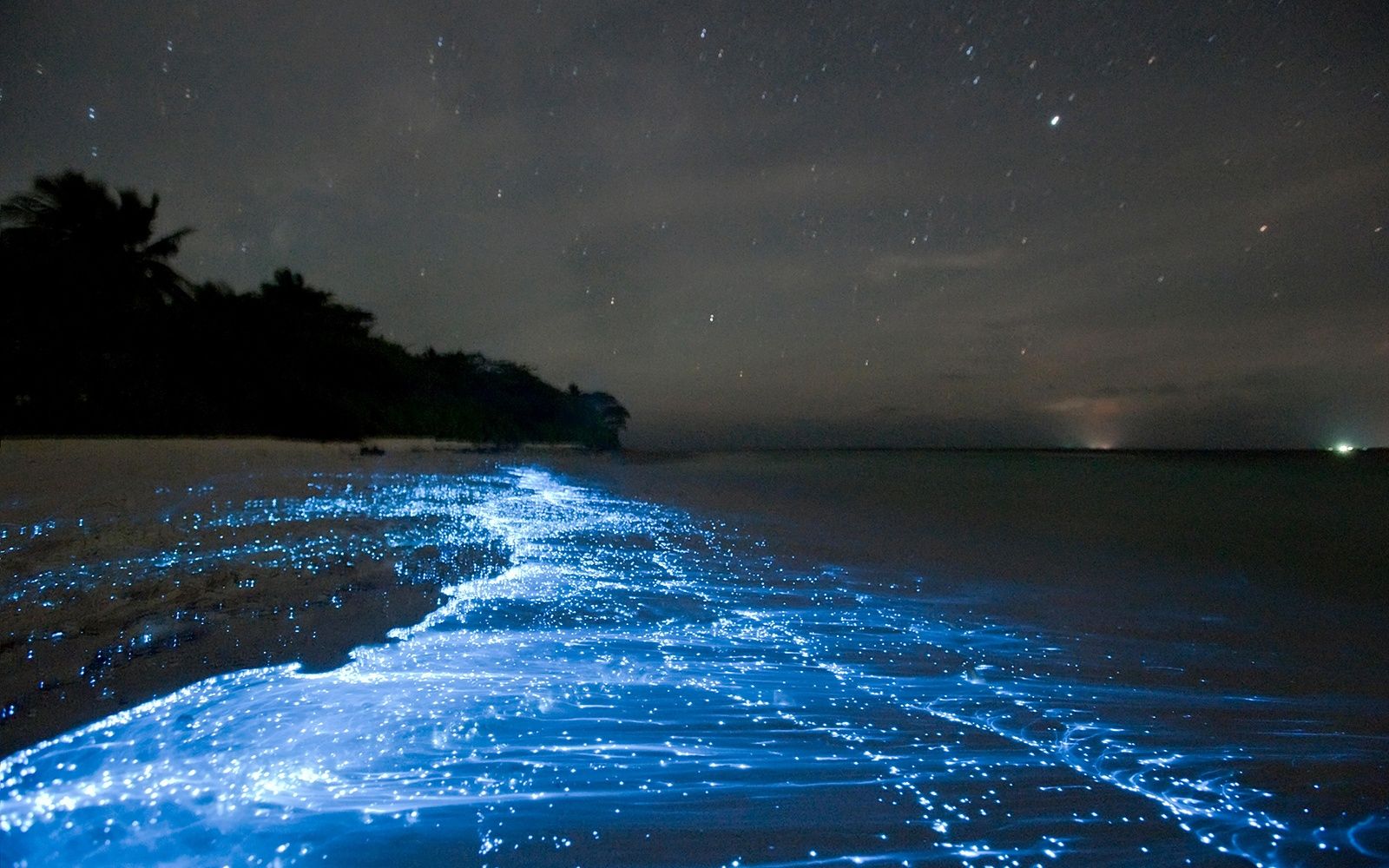 Photos so surreal you’ll do a double take